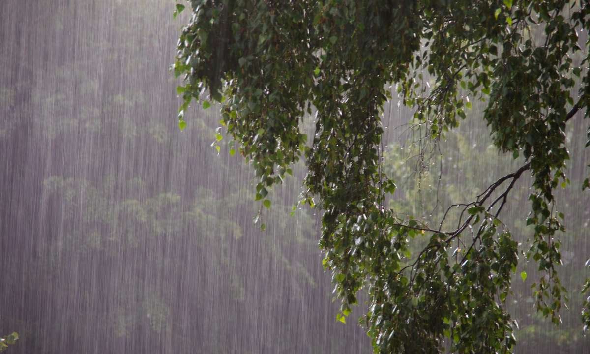 Seeking Clarity: Interpreting Dreams About Heavy Rain